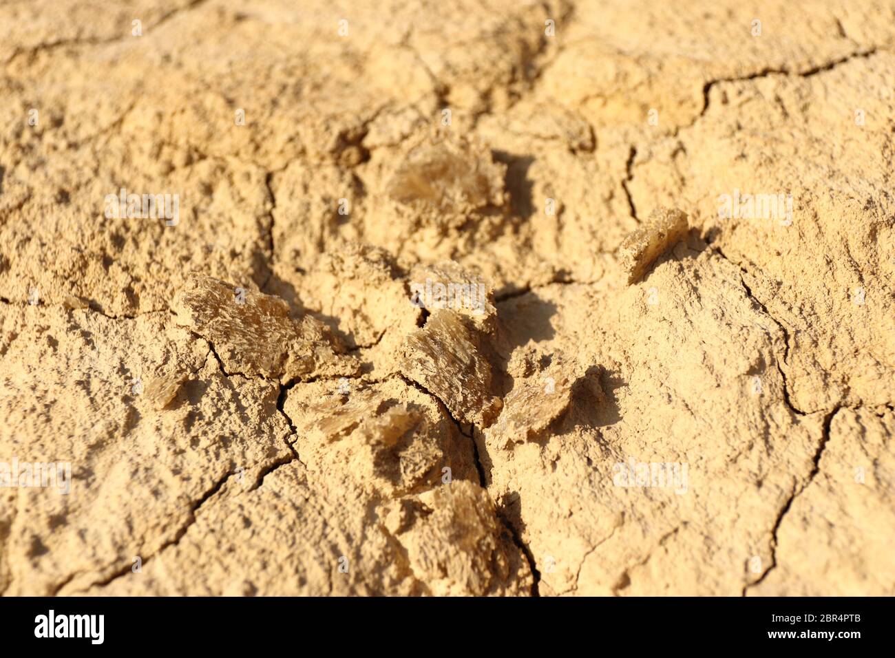 Little desert hi-res stock photography and images - Alamy