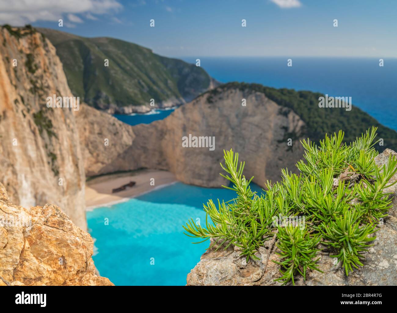 Green shrubs and plants growing on the cliffs in Shipwreck Cove in ...