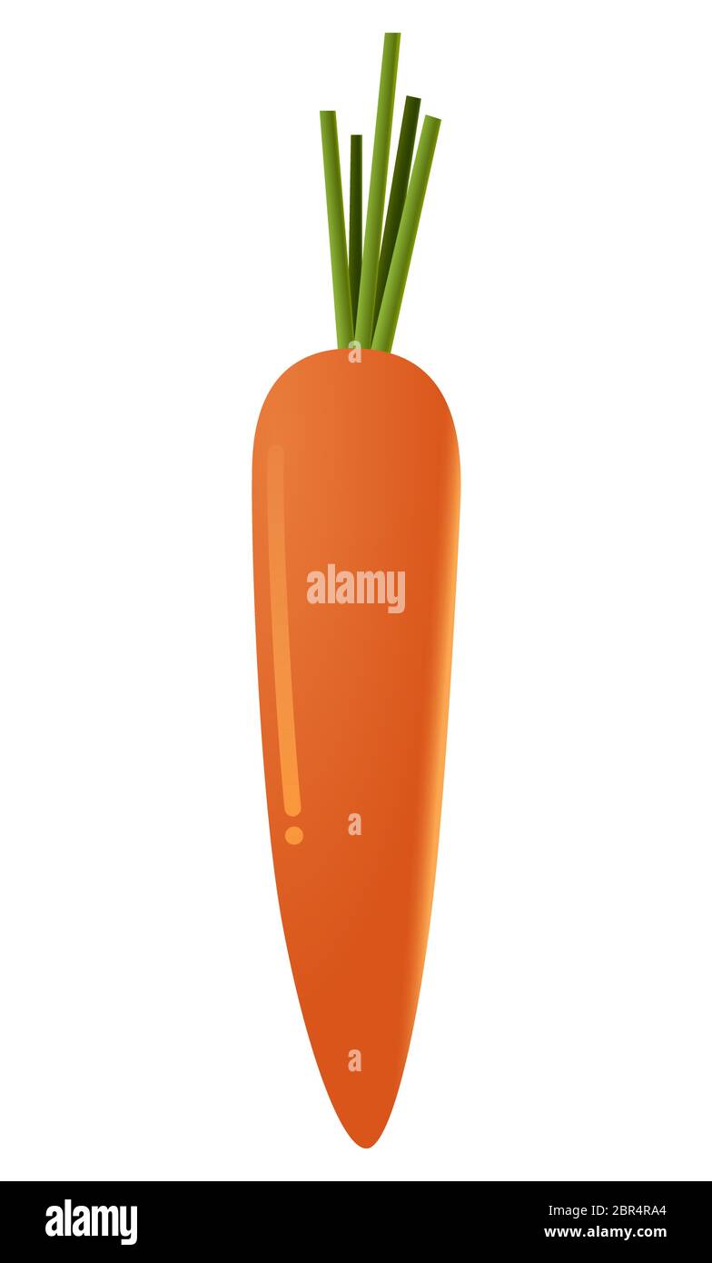 Cute cartoon carrot vegetables vector isolated on white background ...