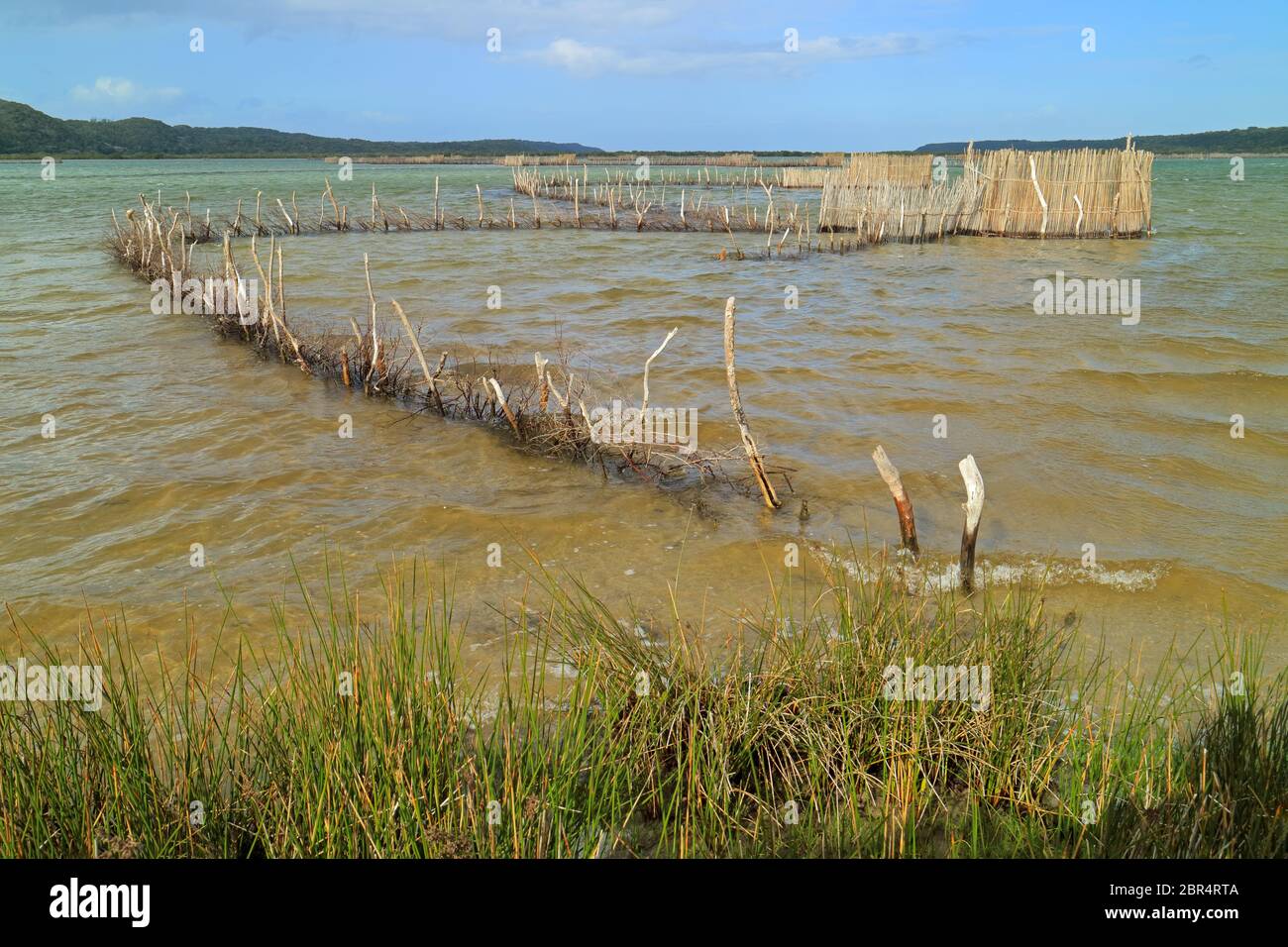 Traditional Tsonga fish traps built in the Kosi Bay estuary, Tongaland ...