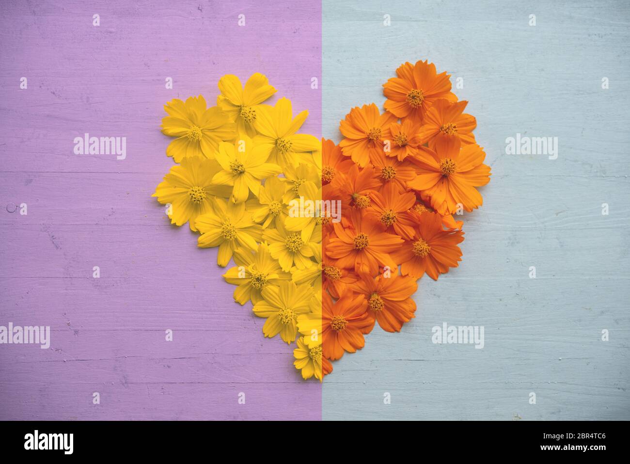 Heart shape cut in half and different color on wooden background Stock ...