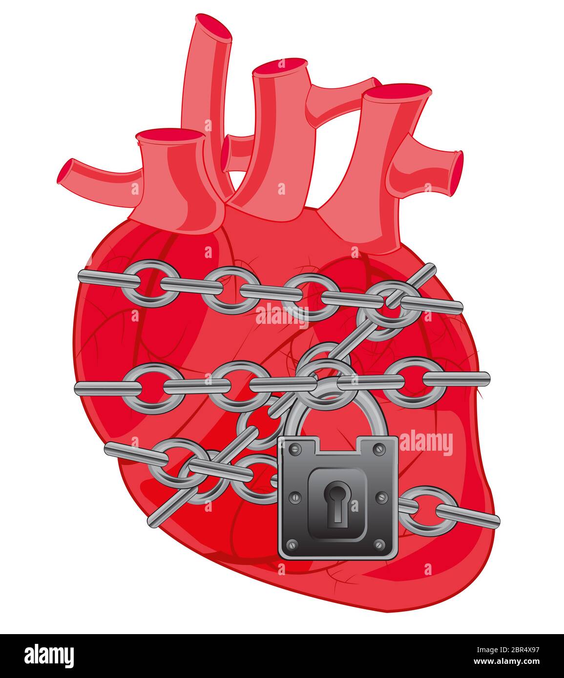 Internal organ of the person heart on chain locked on lock Stock Photo ...
