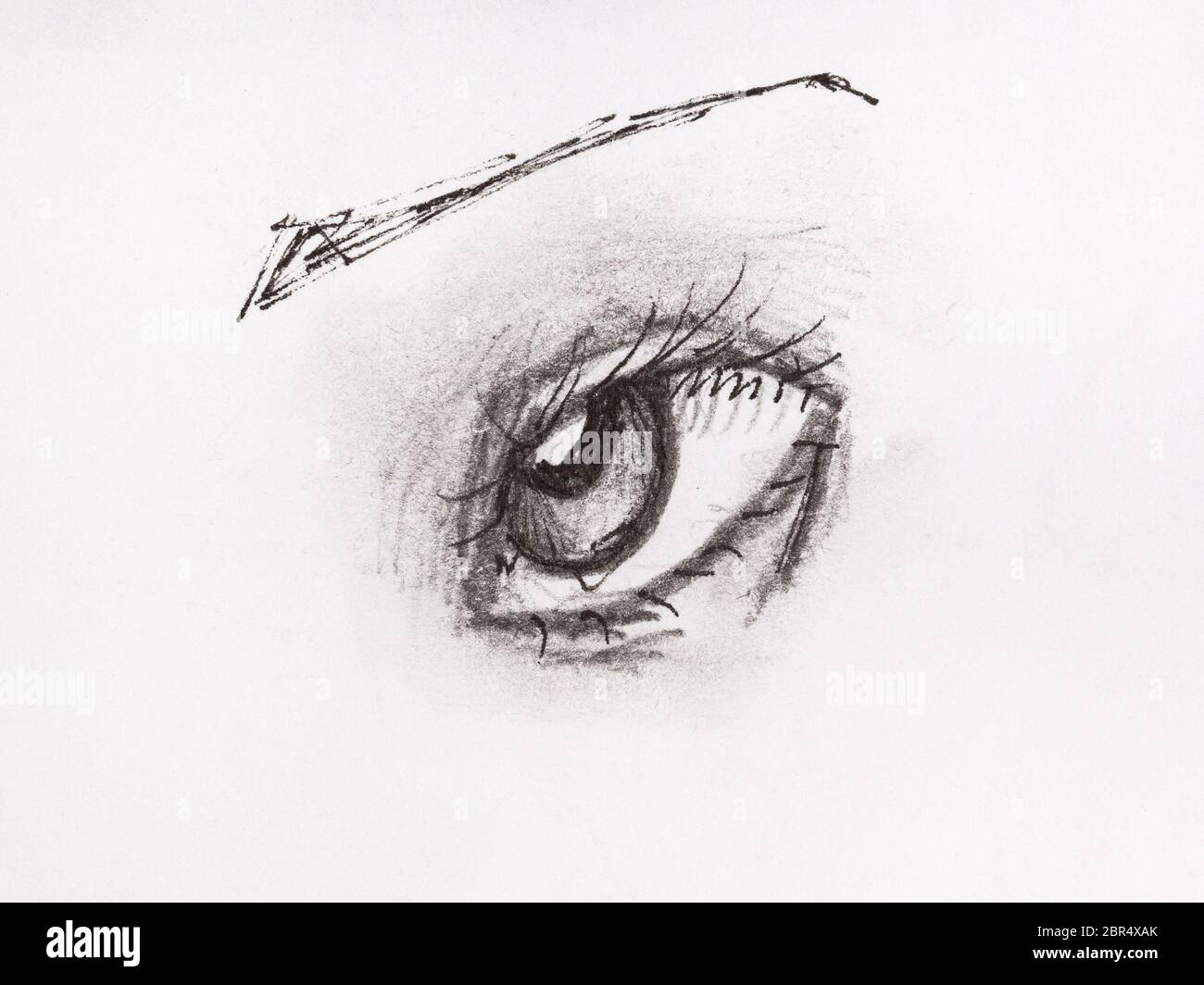 sketch of human rolled eye hand-drawn by black pencil and ink on white ...