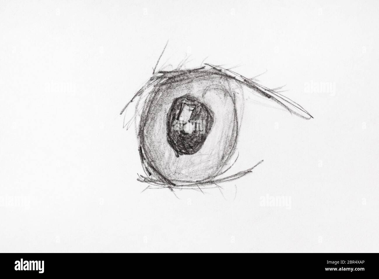 sketch of front view of human eye hand-drawn by black pencil on white ...