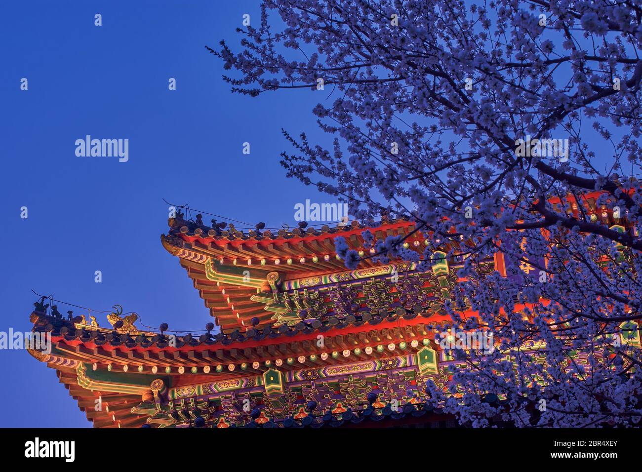 Peking night hi-res stock photography and images - Alamy
