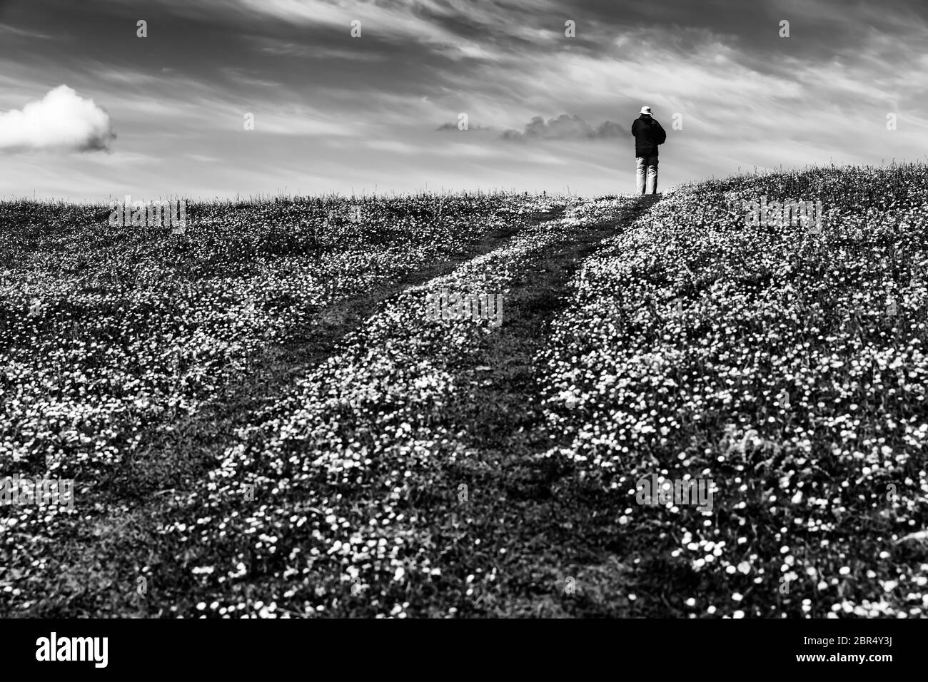 Cloudy path Black and White Stock Photos & Images - Alamy