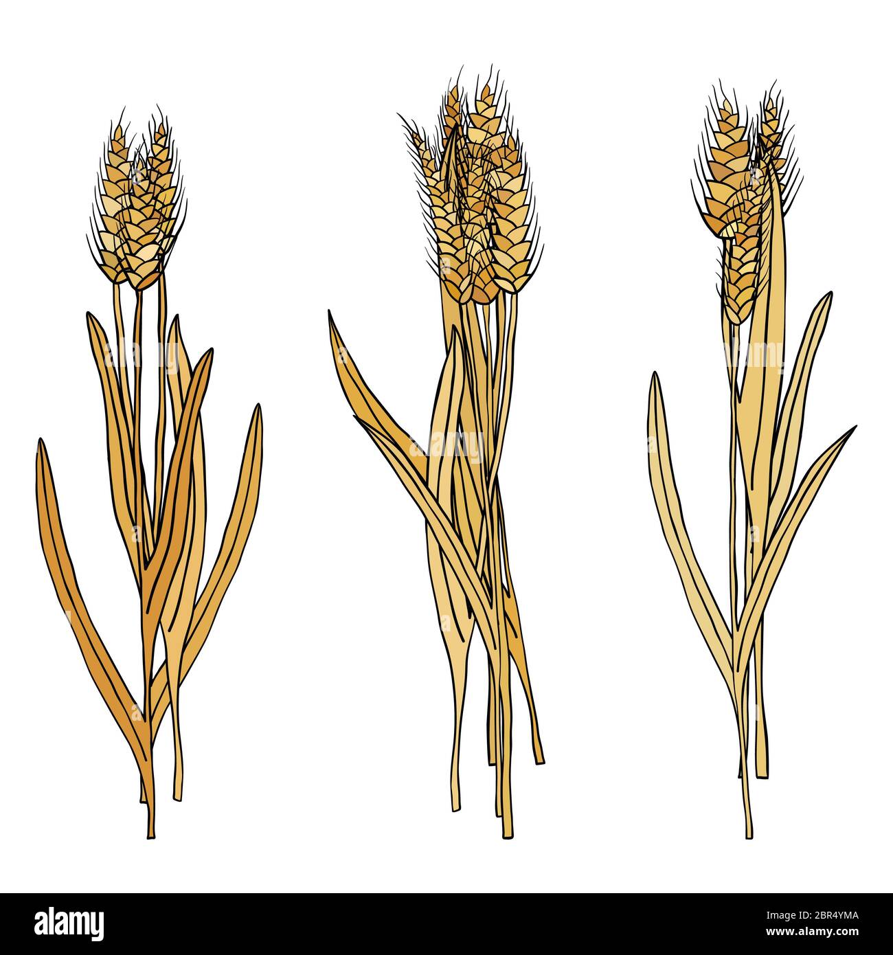 Bundle summer season set Cut Out Stock Images & Pictures - Alamy