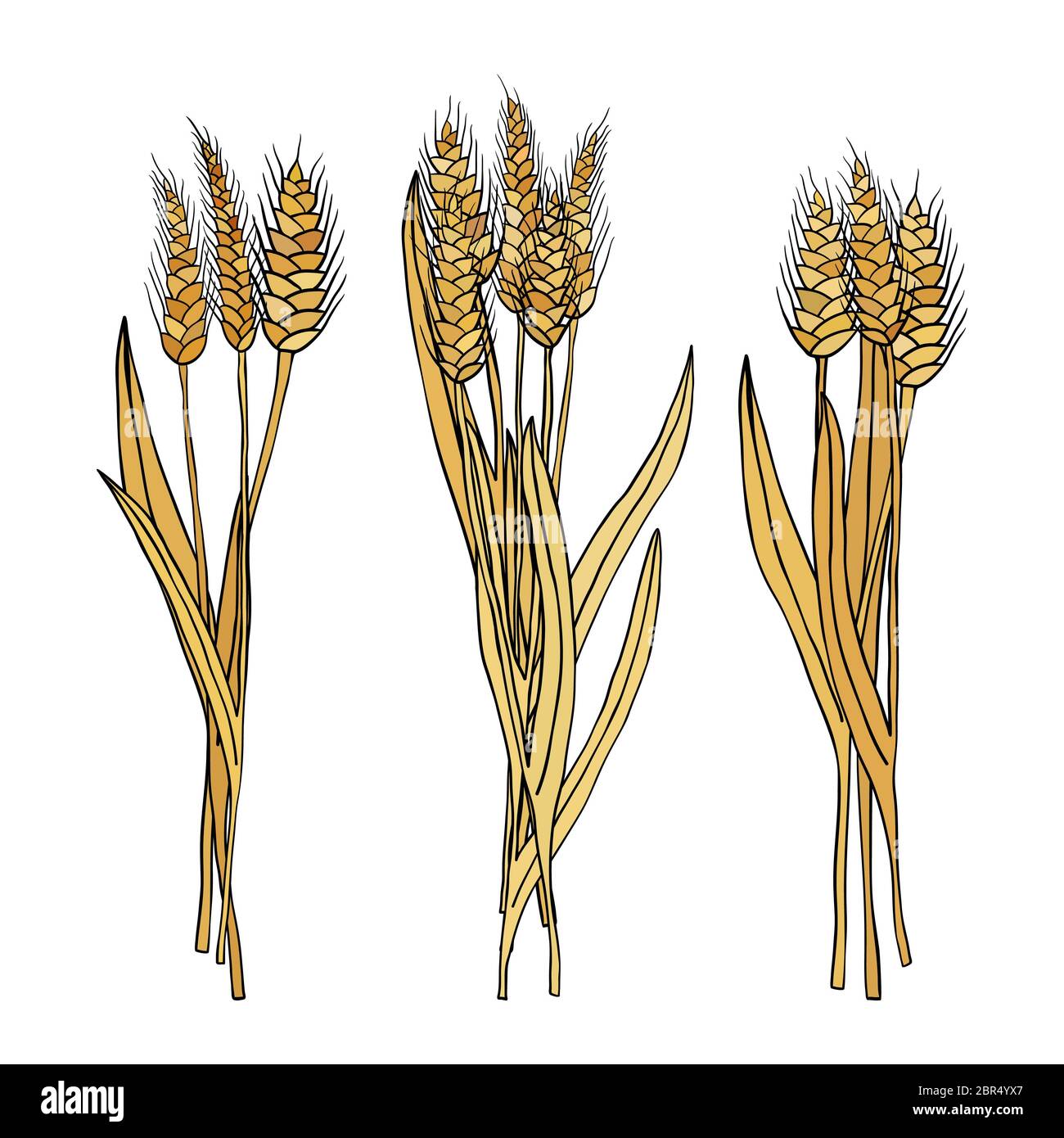 set of cartoon doodle wheat sheaves Stock Photo - Alamy