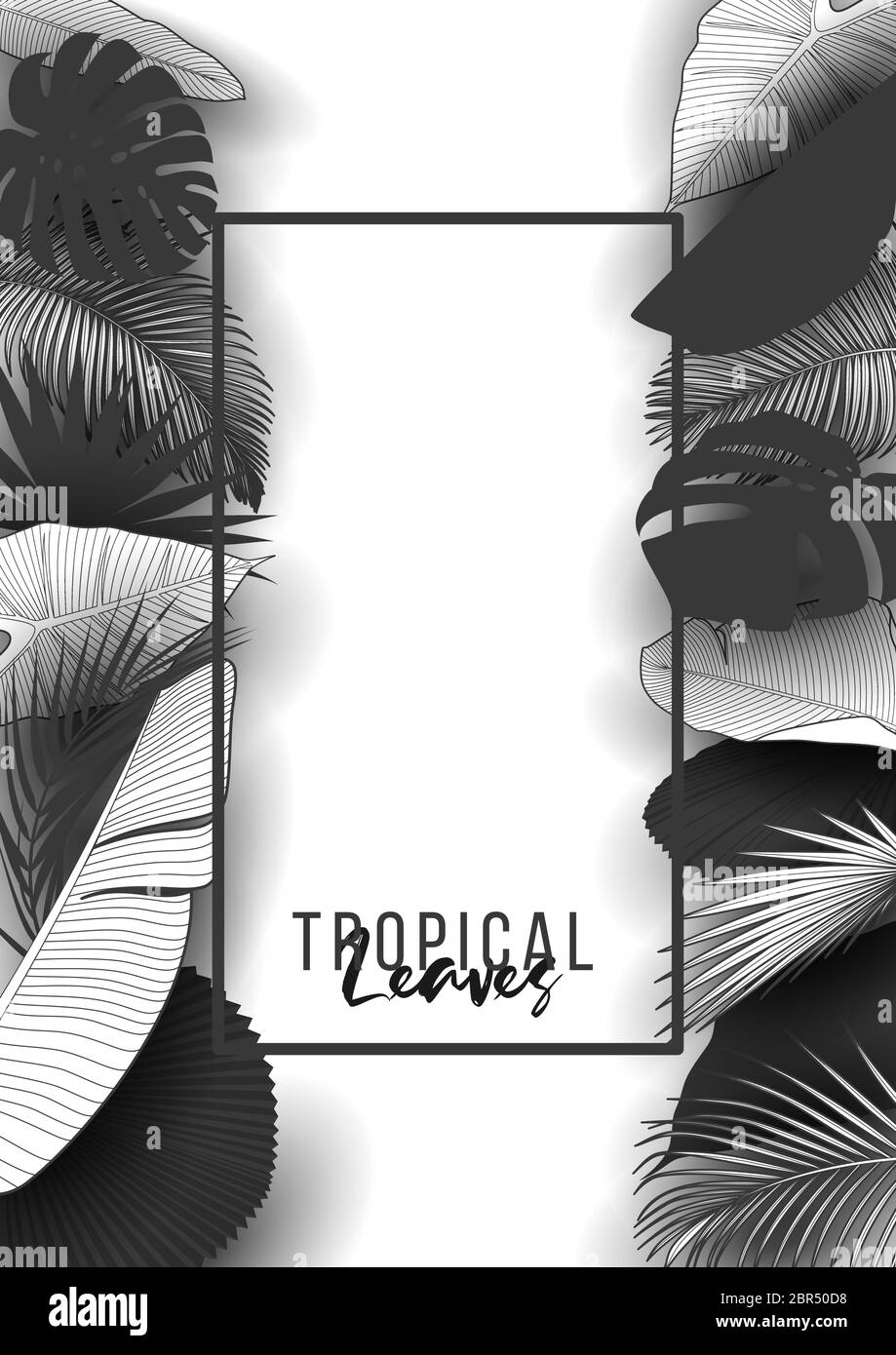 Tropic dark palm foliage Black and White Stock Photos & Images - Alamy