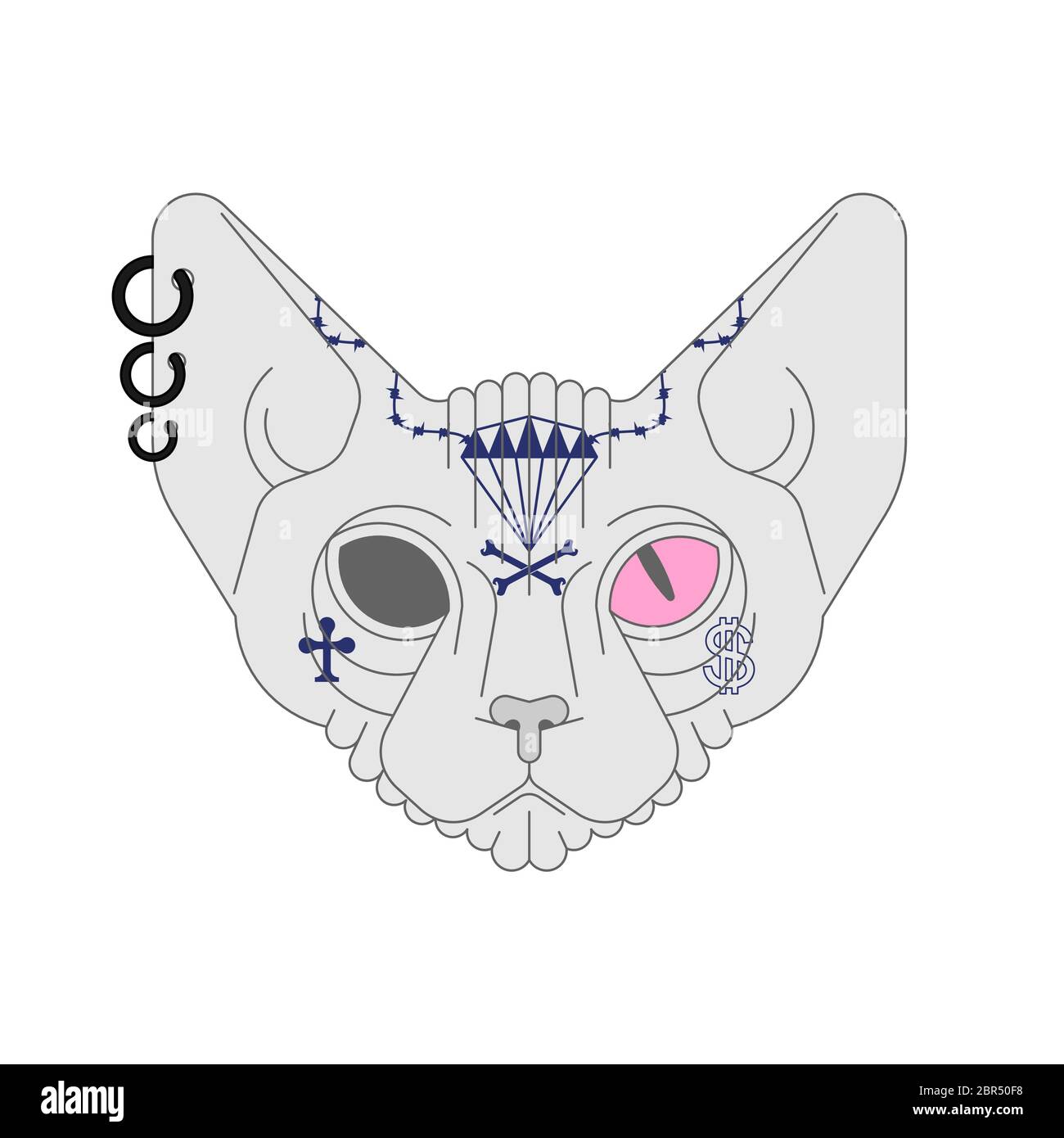 Sphynx cat with tattoo. Pet bully and criminal. Bad boy animal Stock ...