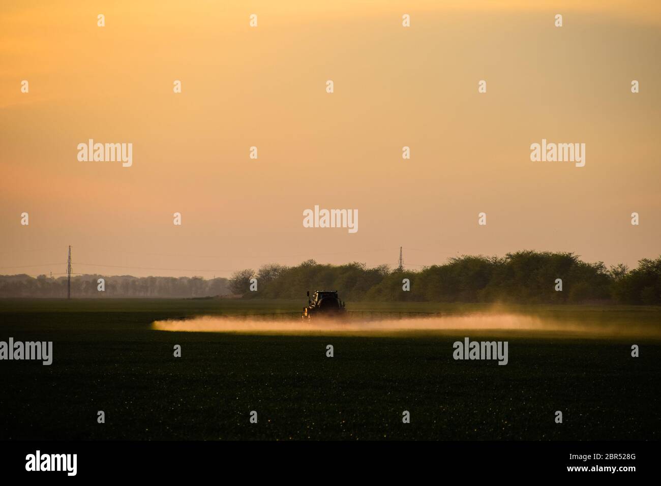 Tractor with the help of a sprayer sprays liquid fertilizers on young ...