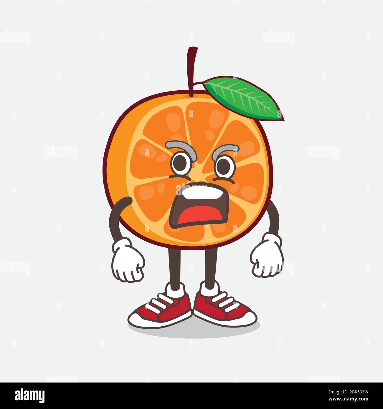 Orange Fruit Mascot