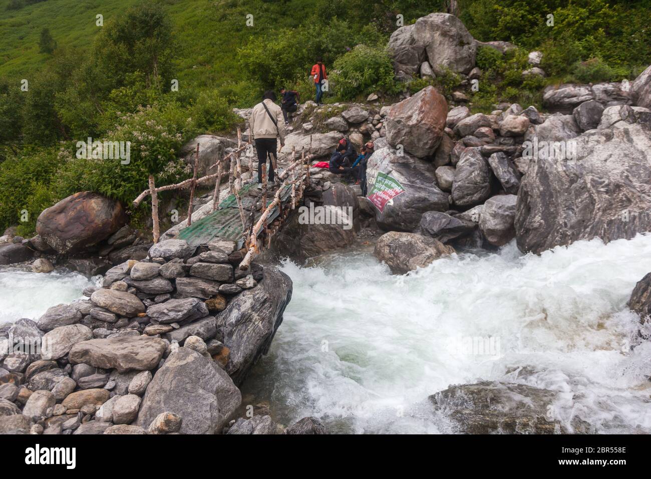 Himalayan flowers inside the Valley of Flowers near Joshimath ...