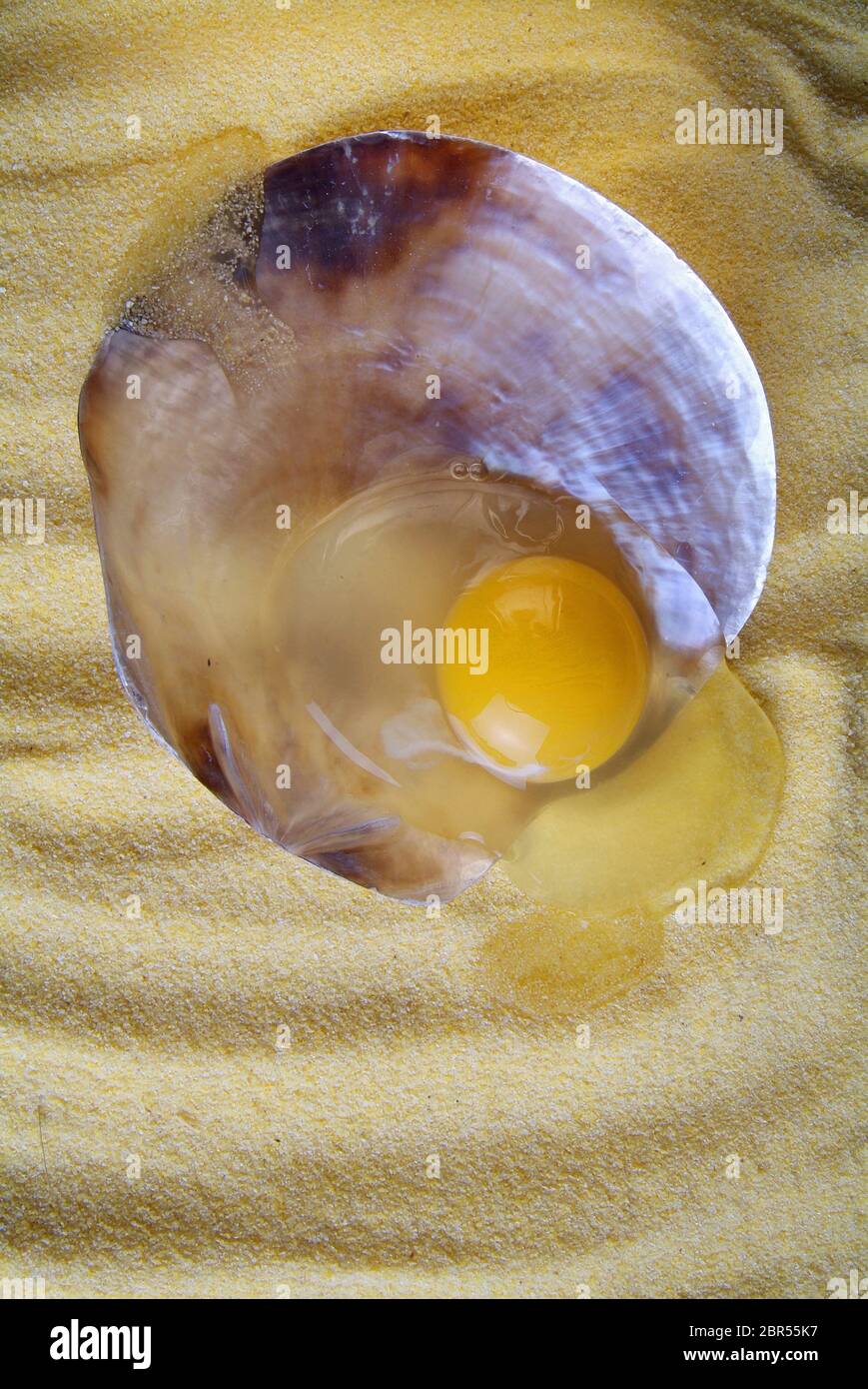 Sand protein hi-res stock photography and images - Alamy