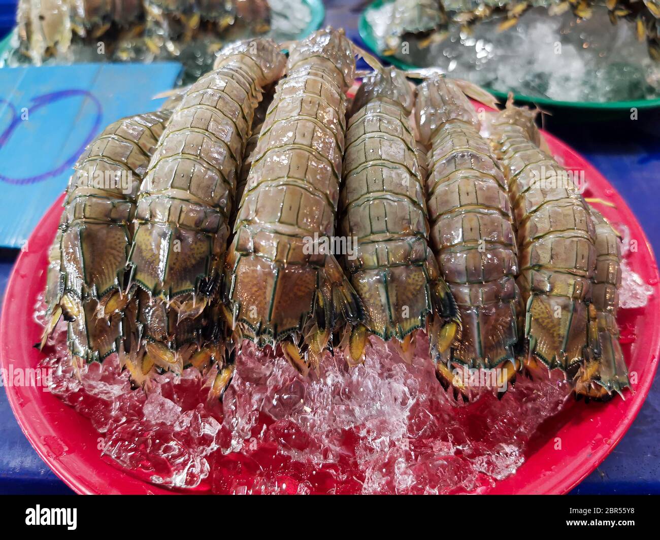 Closeup fresh mantis shrimp hi-res stock photography and images - Alamy