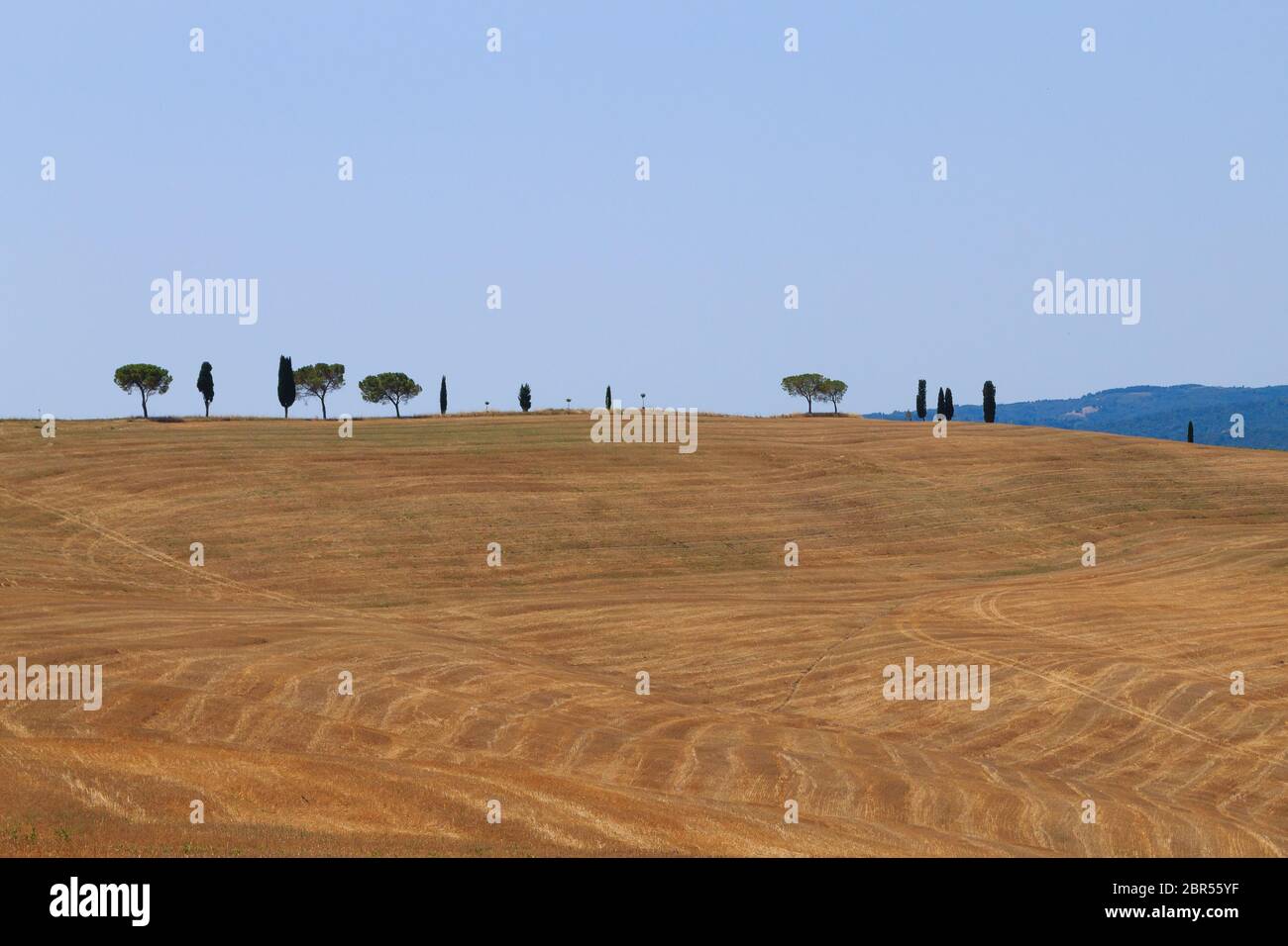 Tuscany hills view, Italy. Italian landscape, Toscana Stock Photo - Alamy