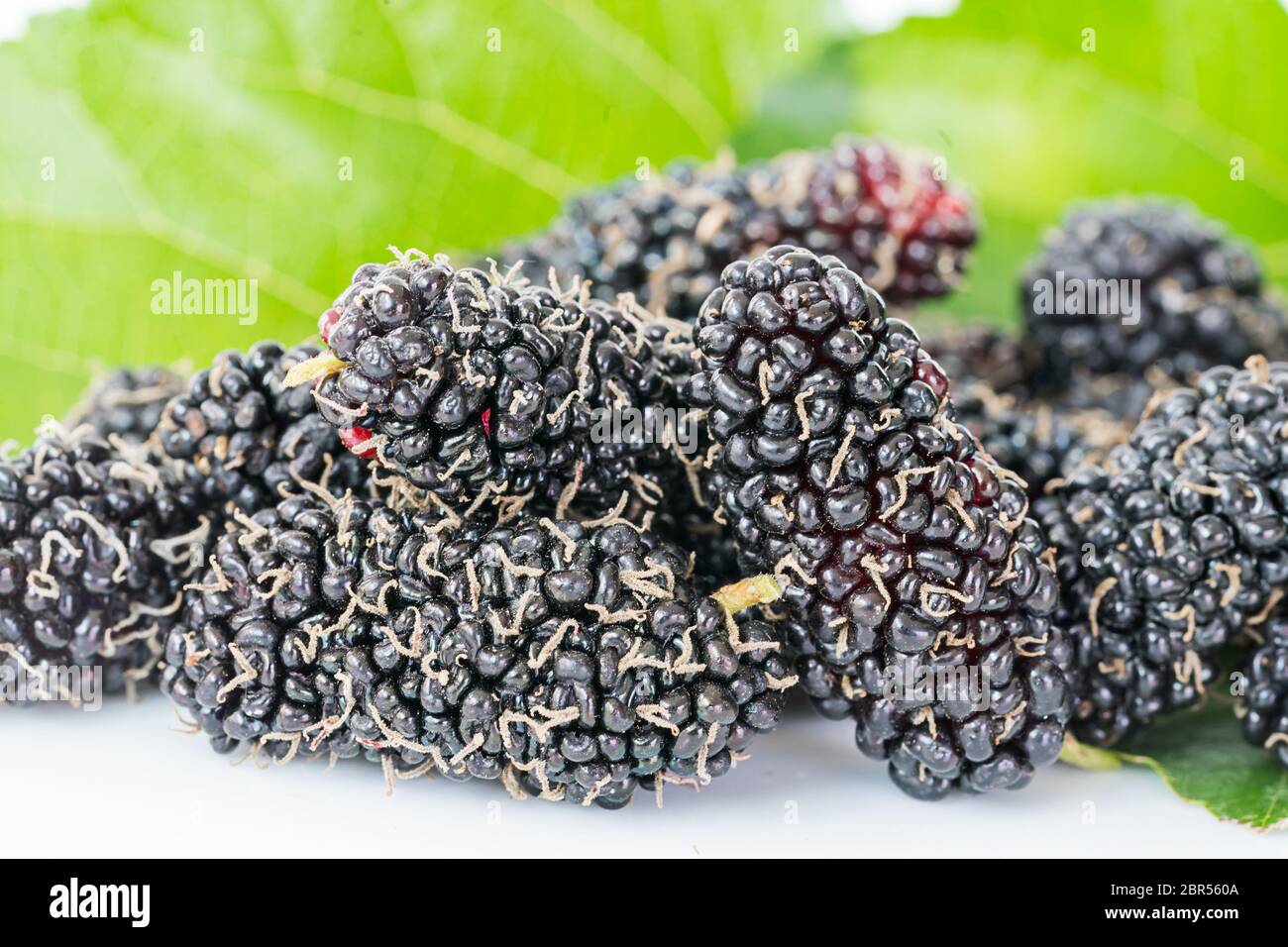 Close up mulberry fruit with green leaf on the white background Stock ...