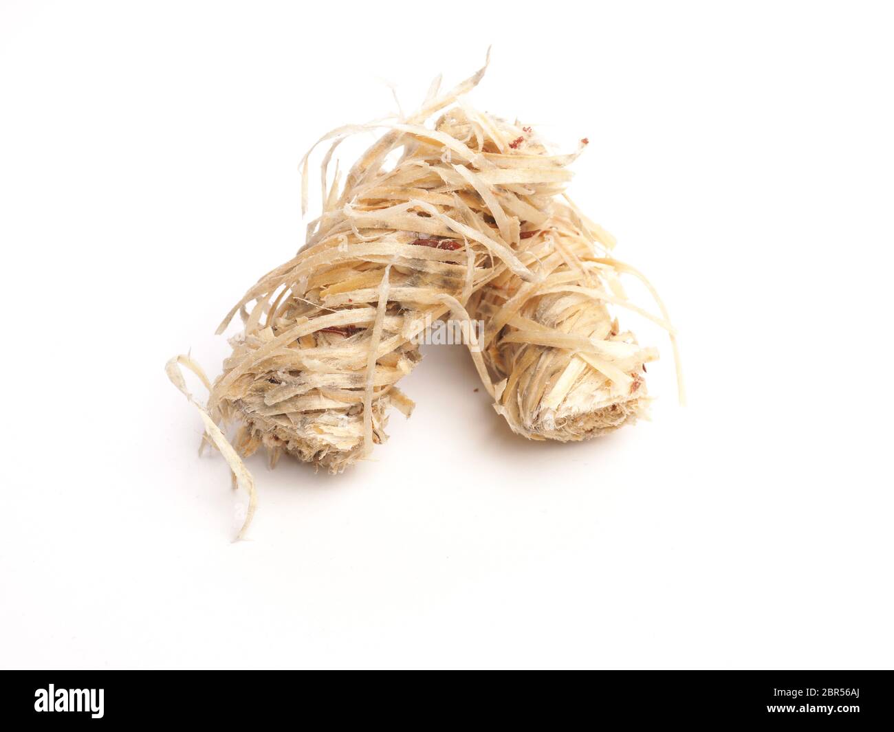 Fireplace igniter on a white studio background Stock Photo - Alamy