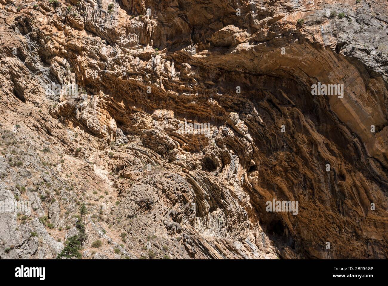 Sedimentary rock. Structure of natural stone. Background Stock Photo ...