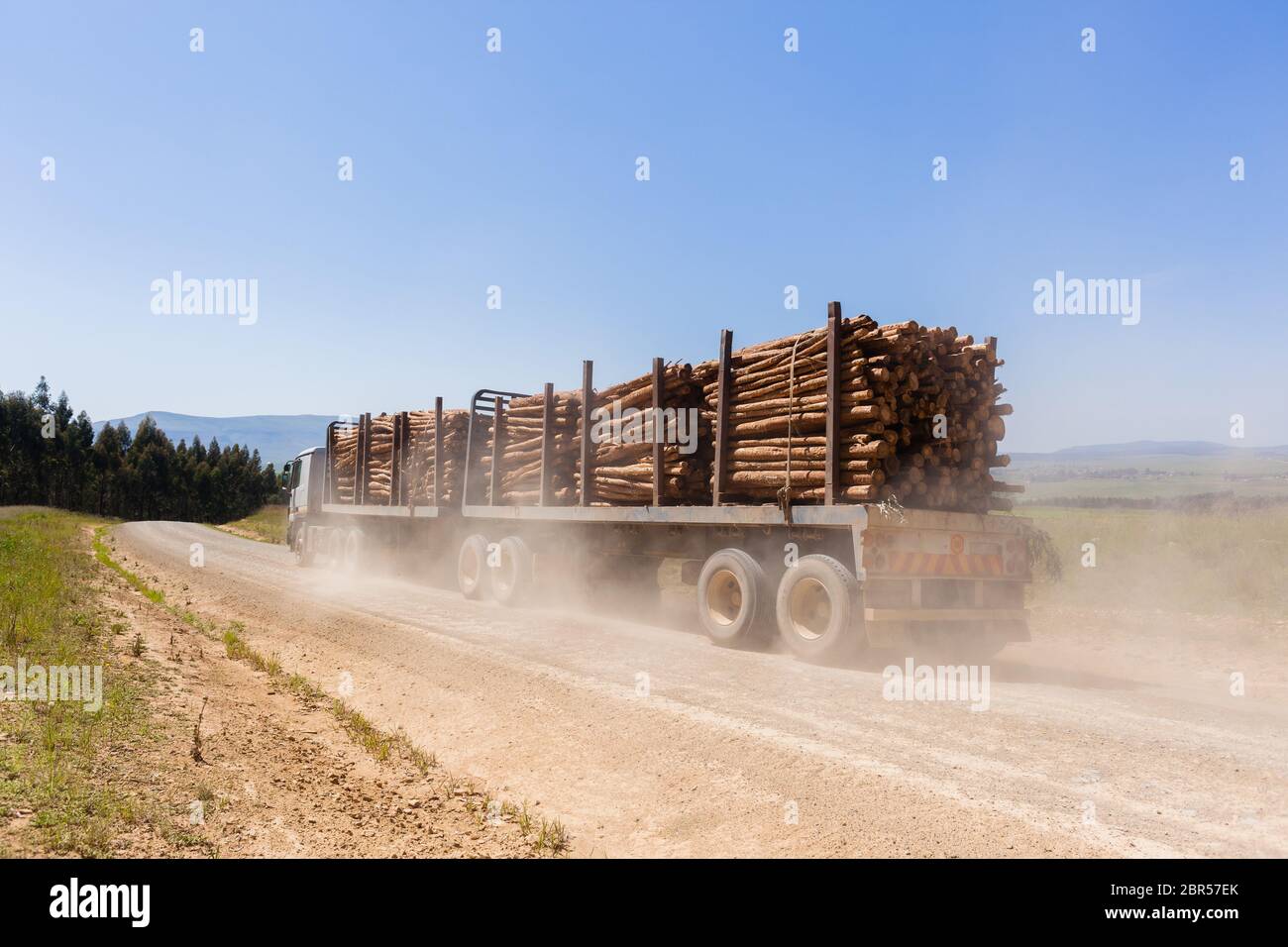Logging truck transporting tree logs hi-res stock photography and ...