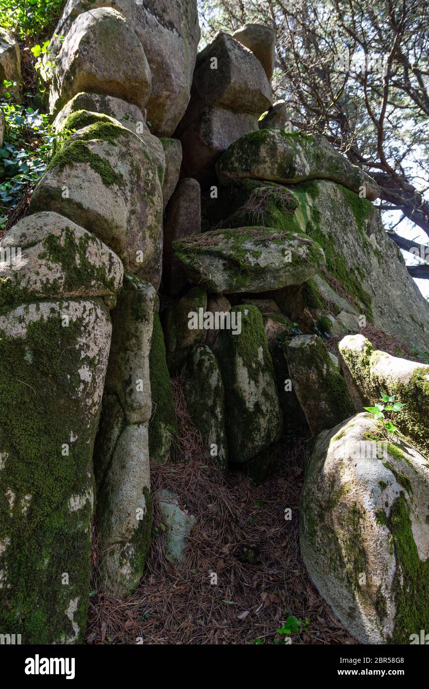 natural forest park Pena in Sintra, Portugal, with trees and stones ...