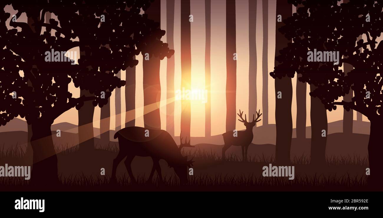 wildlife elk in green forest nature landscape vector illustration EPS10 ...