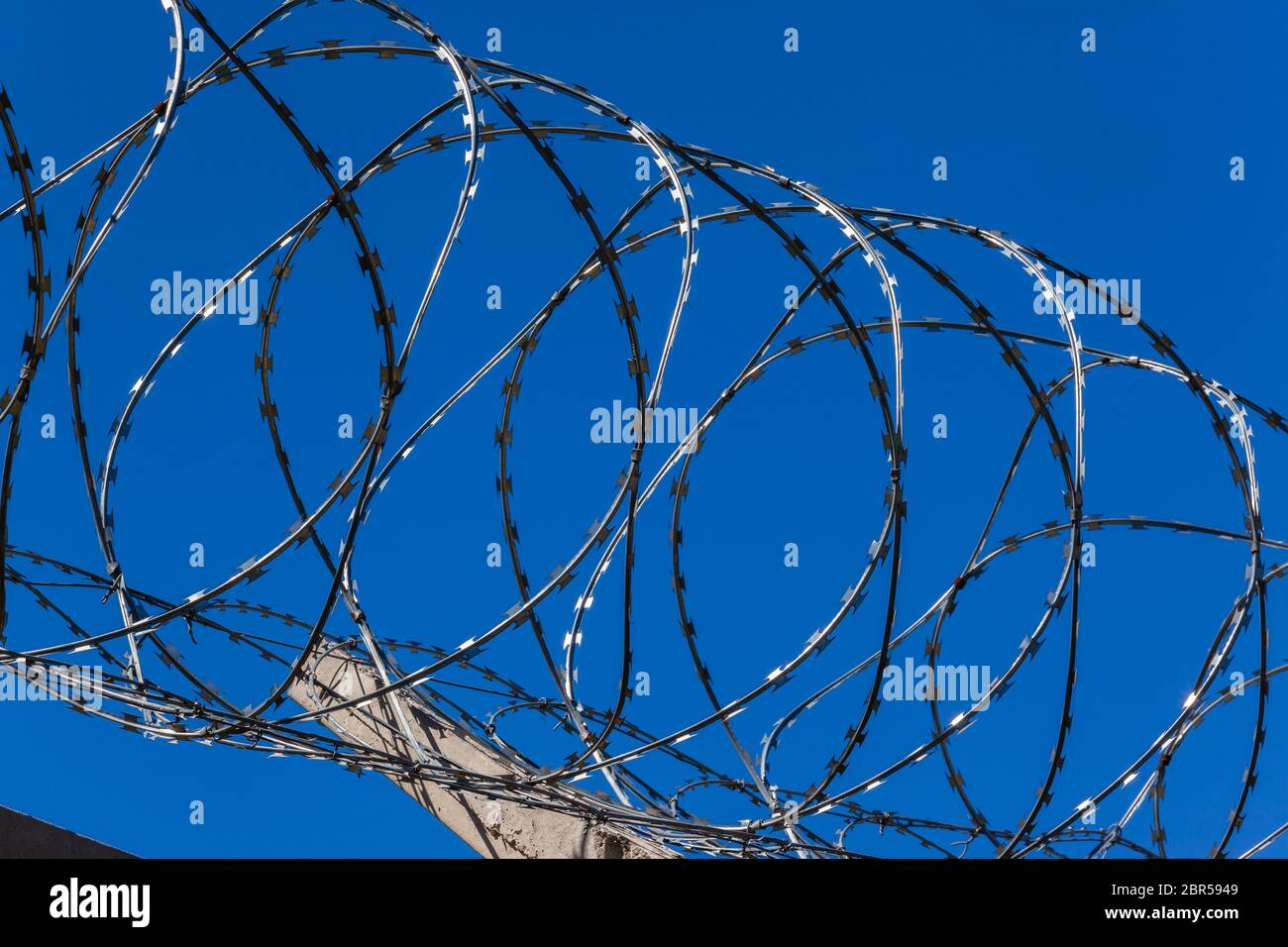 Razor wire injury hi-res stock photography and images - Alamy