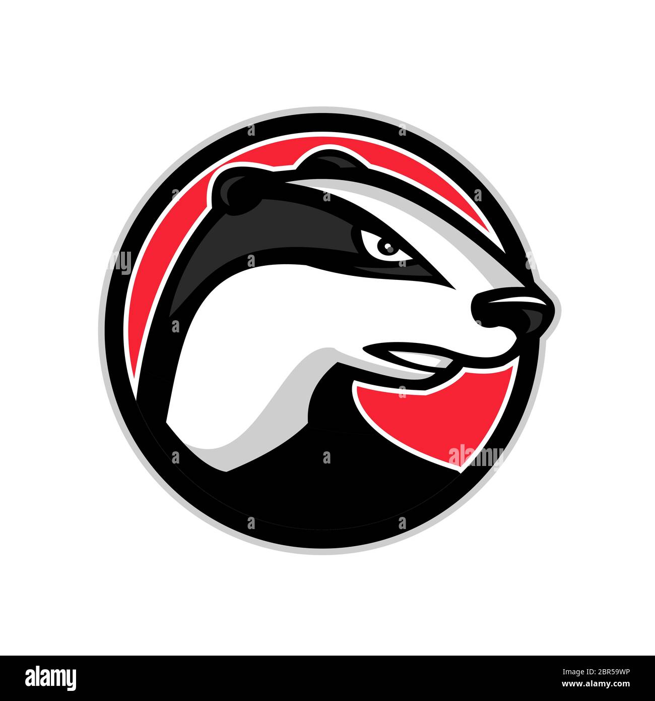 Mascot icon illustration of head of a badger, a short-legged omnivore ...