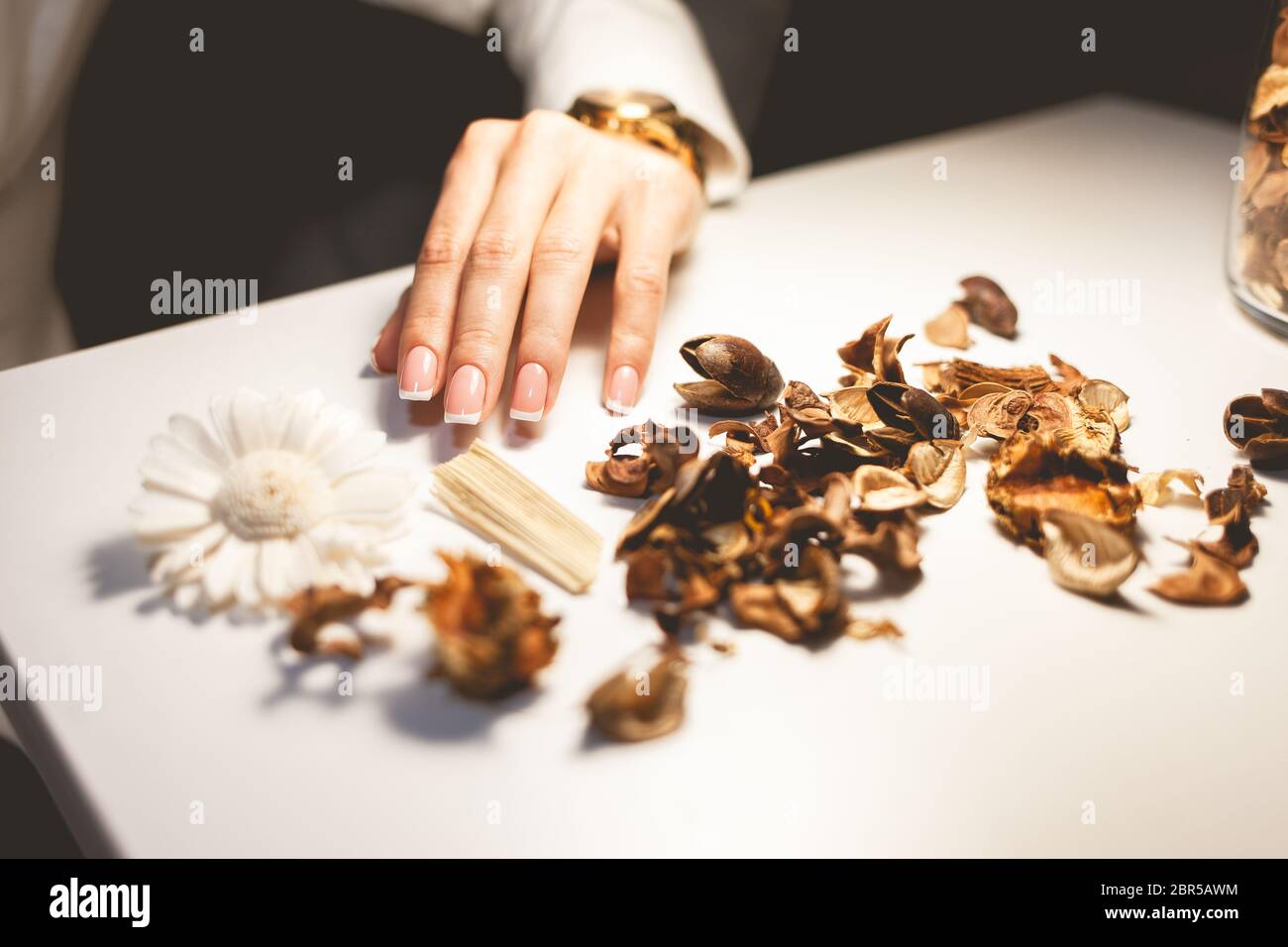 Delicate female hands with a beautiful french manicure. Nail polish ...