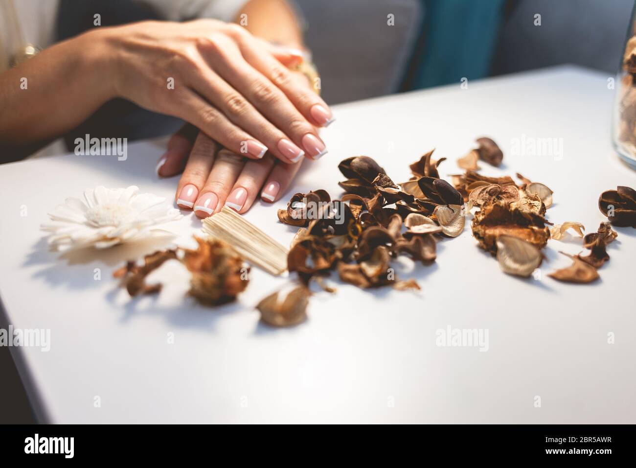 Delicate female hands with a beautiful french manicure. Nail polish ...