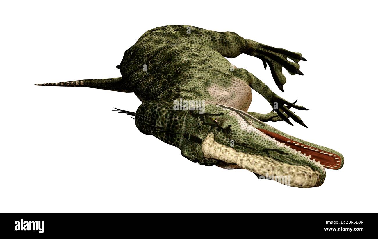 3D rendering of a dinosaur Monolophosaurus isolated on white background ...