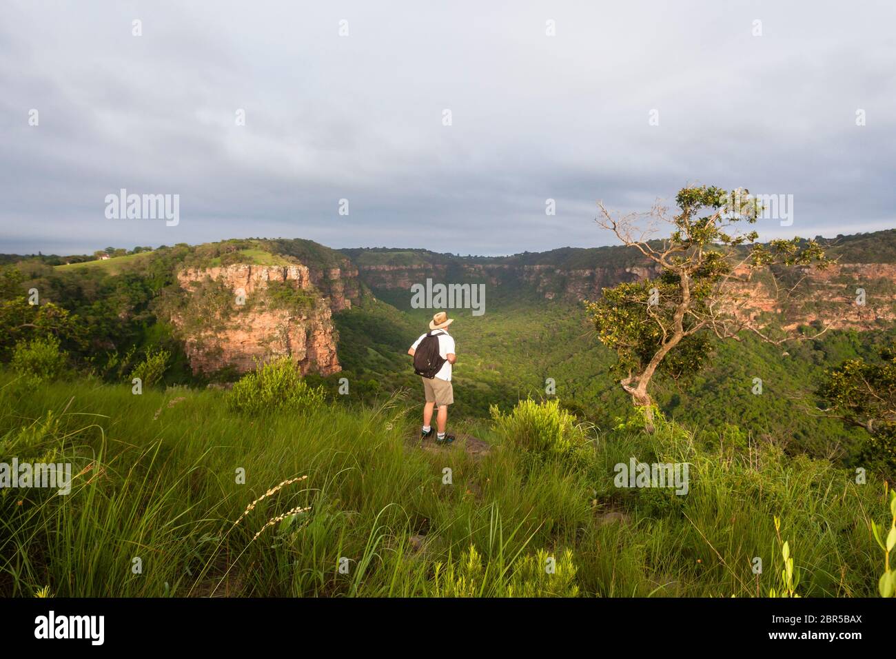Wilderness hiking valley between rocky cliffs Stock Photo - Alamy