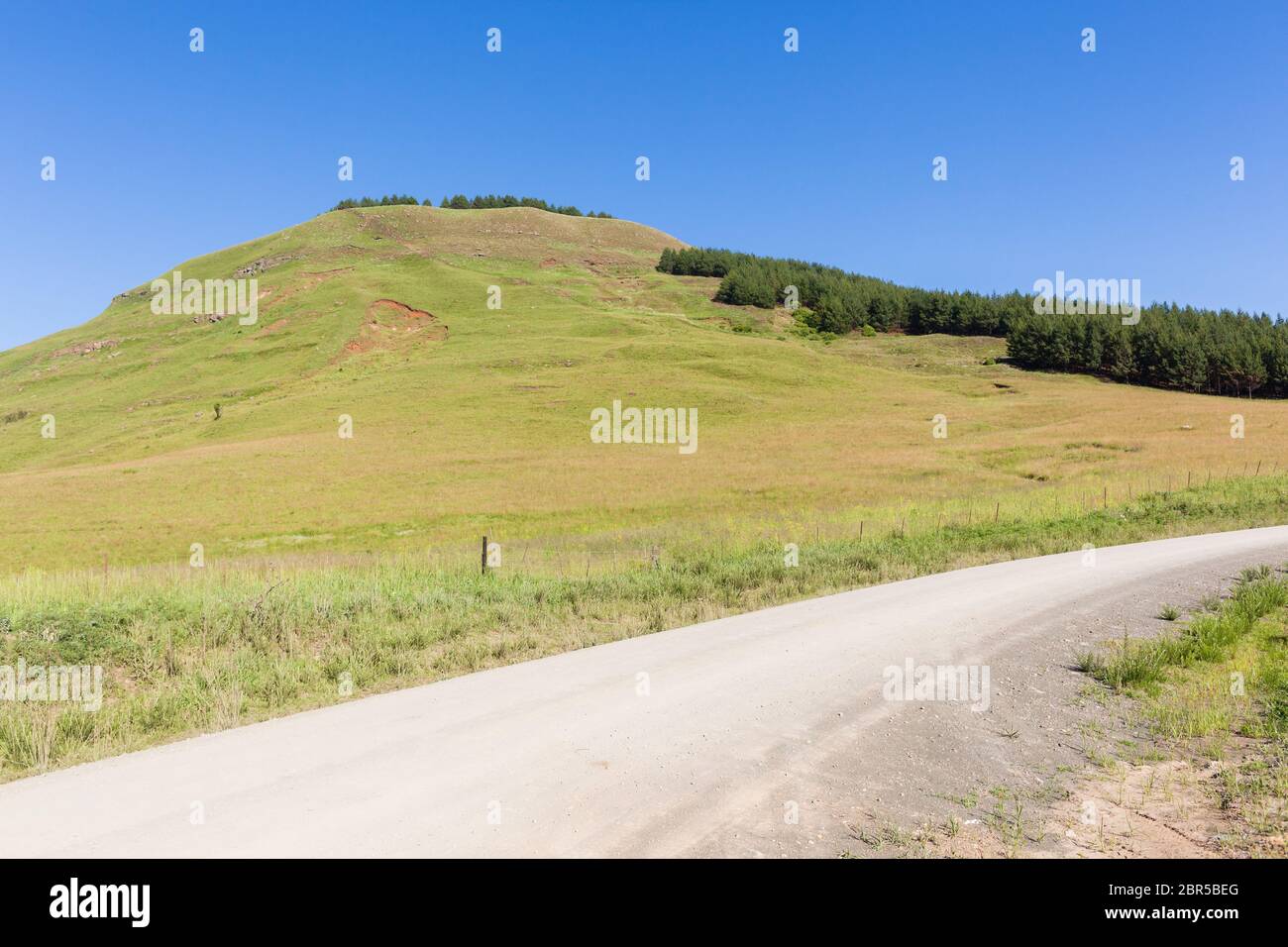 Dirt road route through trees scenic rural mountain terrain Stock Photo ...