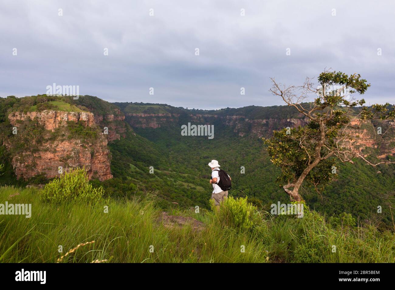 Wilderness hiking valley between rocky cliffs Stock Photo - Alamy