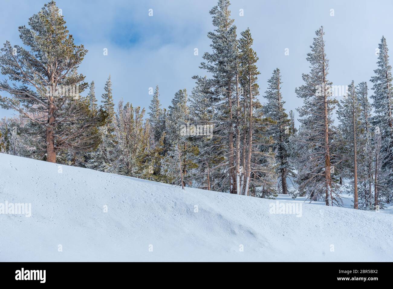 Incline village hi-res stock photography and images - Alamy