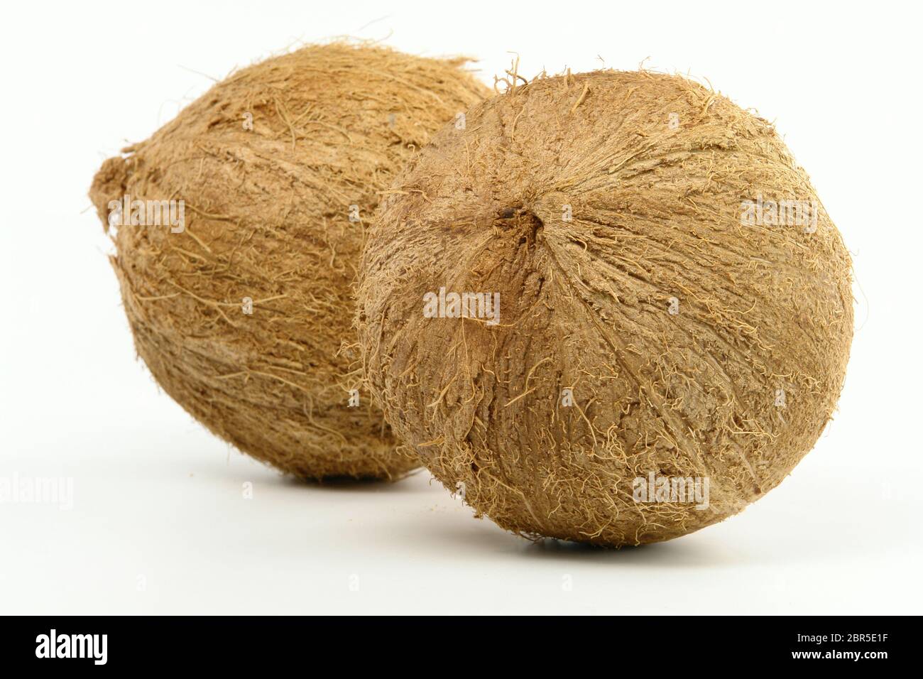 Double Coconut isolated on white background Stock Photo - Alamy