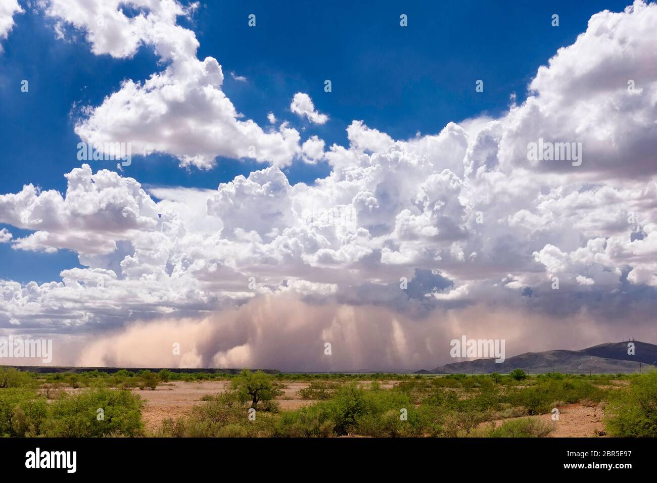 Haboob dust storm forming in the Arizona desert Stock Photo - Alamy