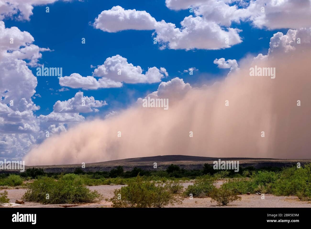 Haboob dust storm hi-res stock photography and images - Alamy