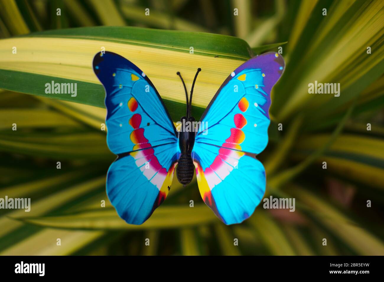 Cute blue and yellow diy butterfly, Artificial fake plastic butterfly ...