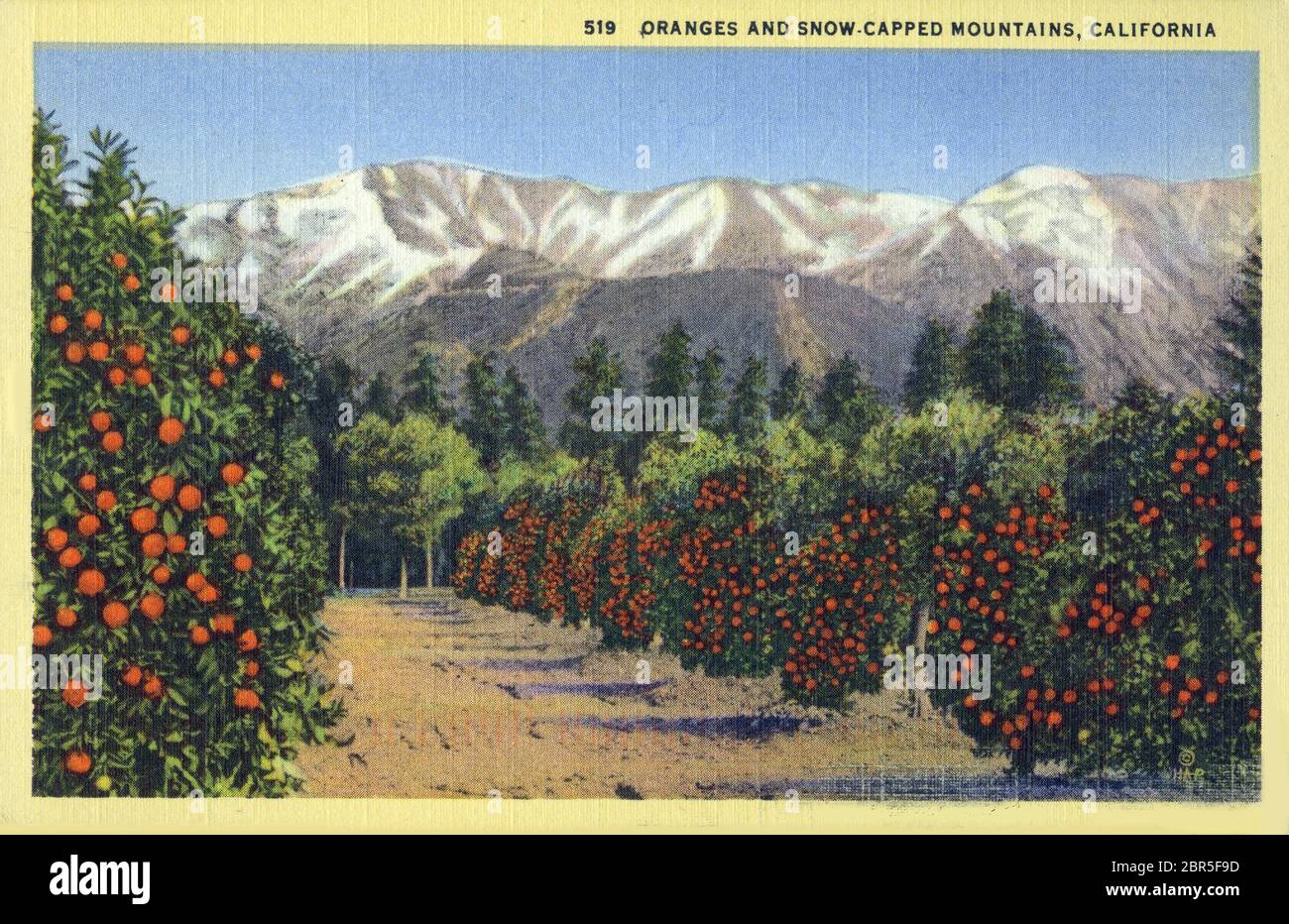 Orange Groves California High Resolution Stock Photography and Images ...