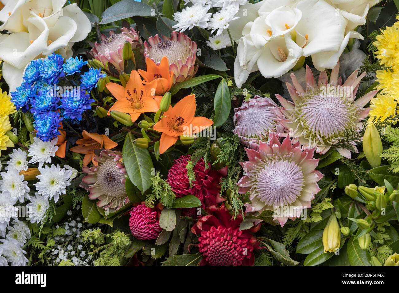 Beauty floristic decoration with colorful tropical flowers Stock Photo ...