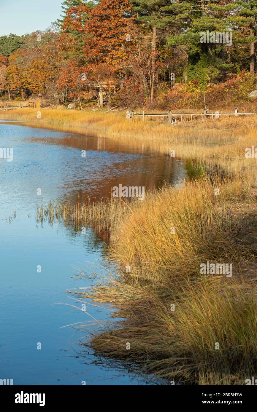 A beautiful small harbor located west of downtown. The Little River ...