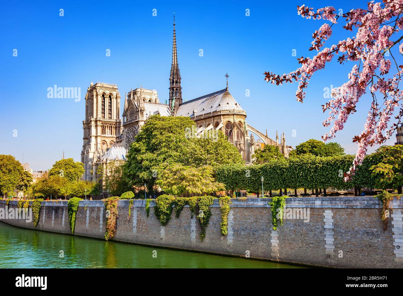 Notre Dame de Paris at spring, France Stock Photo - Alamy