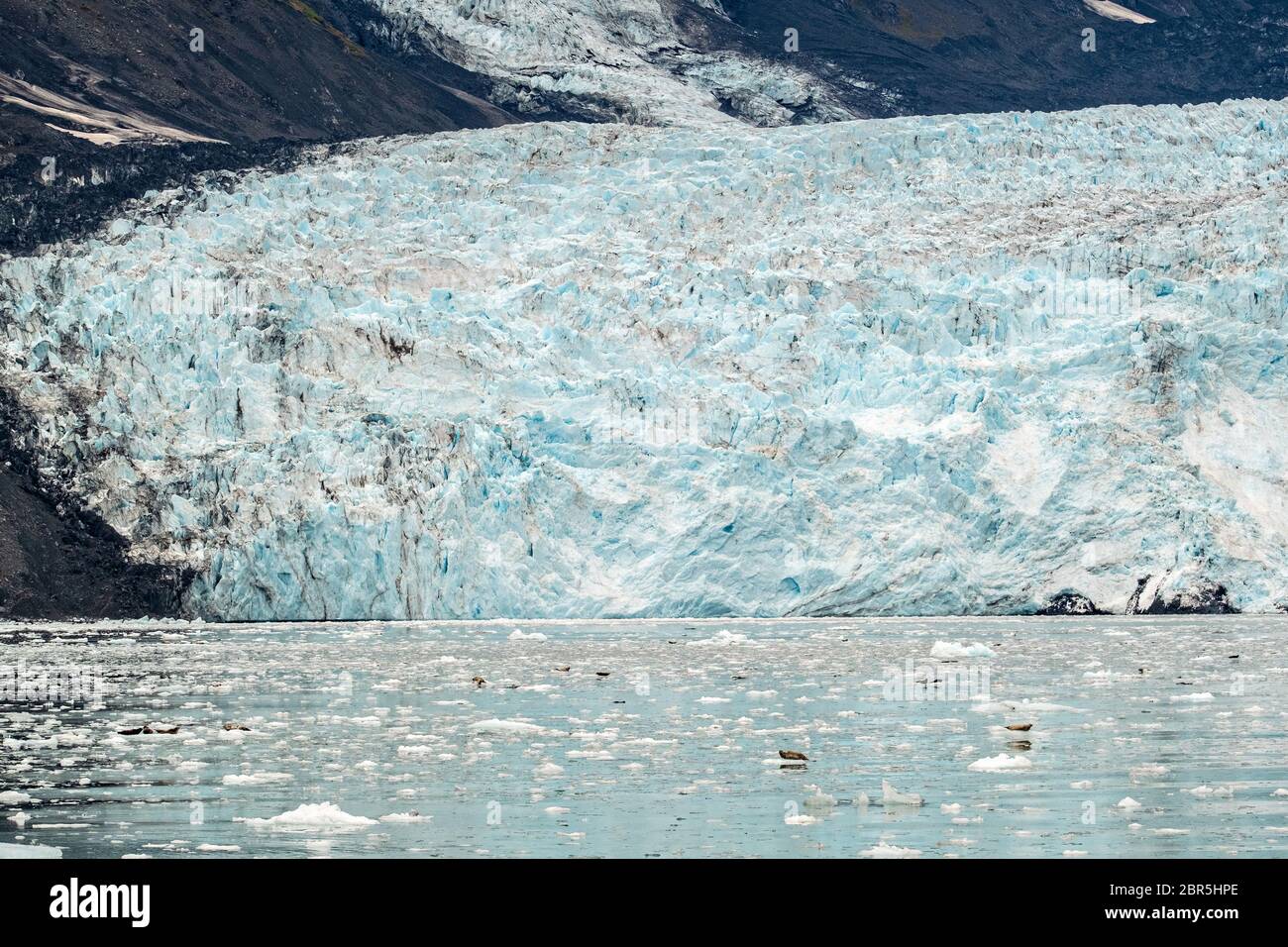 From barry hi-res stock photography and images - Alamy