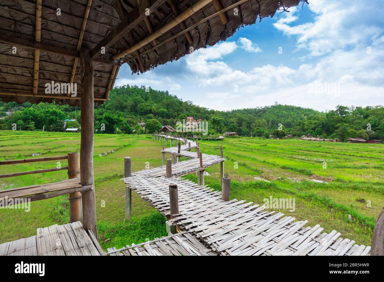 Bamboo bridge Boon Ko Ku So over paddy fields near Pai; Thailand Stock ...