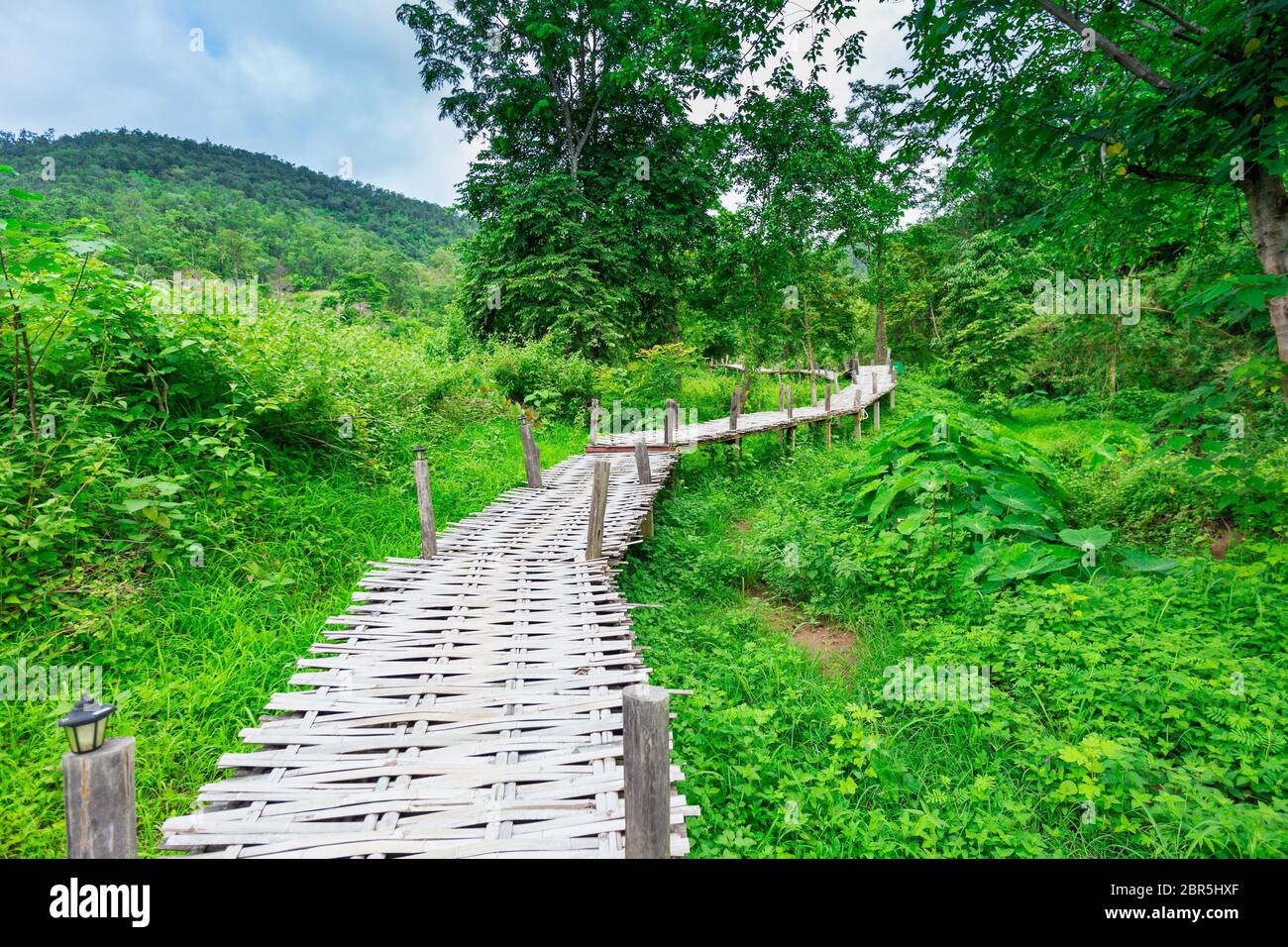 Bamboo bridge Boon Ko Ku So through a rainforest near Pai; Thailand ...