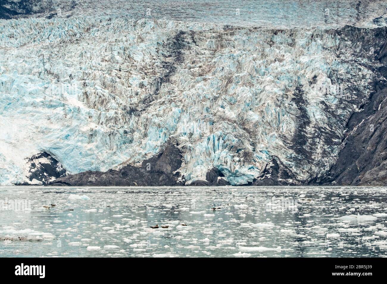 Barry seal hi-res stock photography and images - Alamy