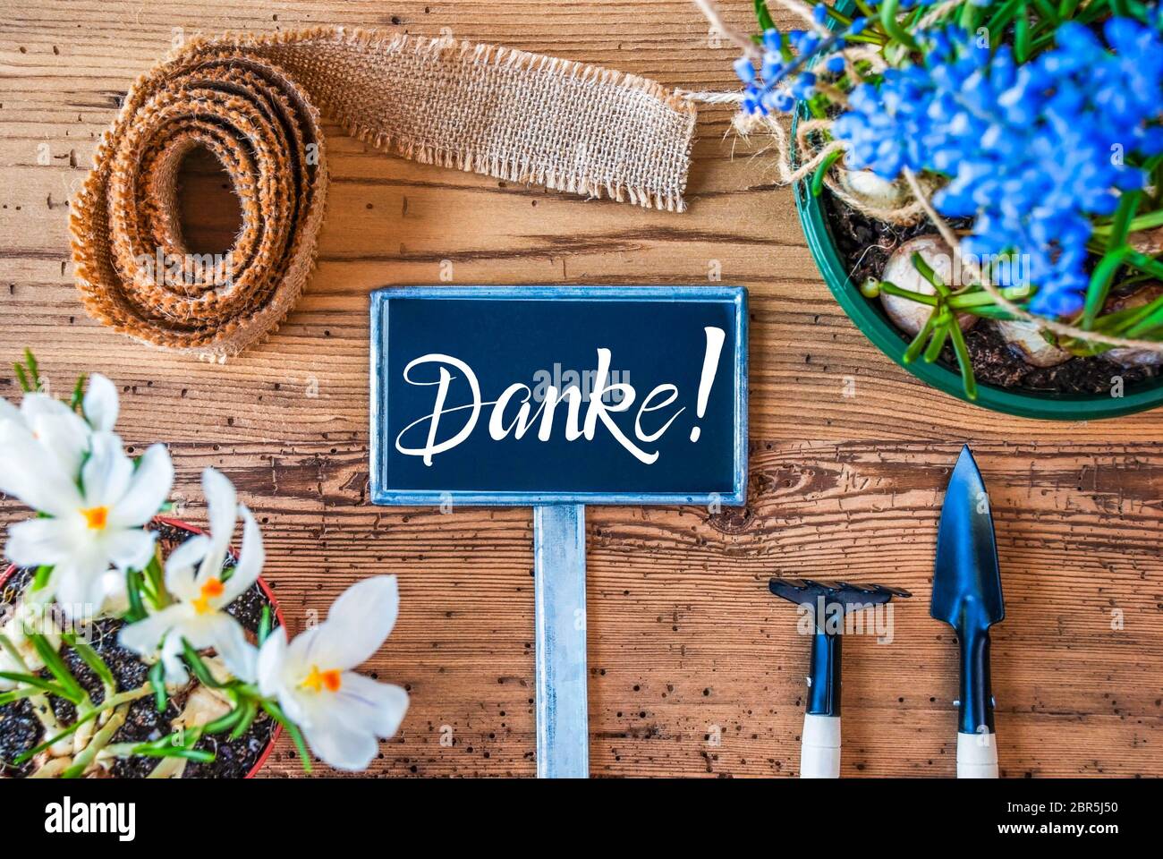 Sign With German Calligraphy Danke Means Thank You. Spring Flowers Like ...