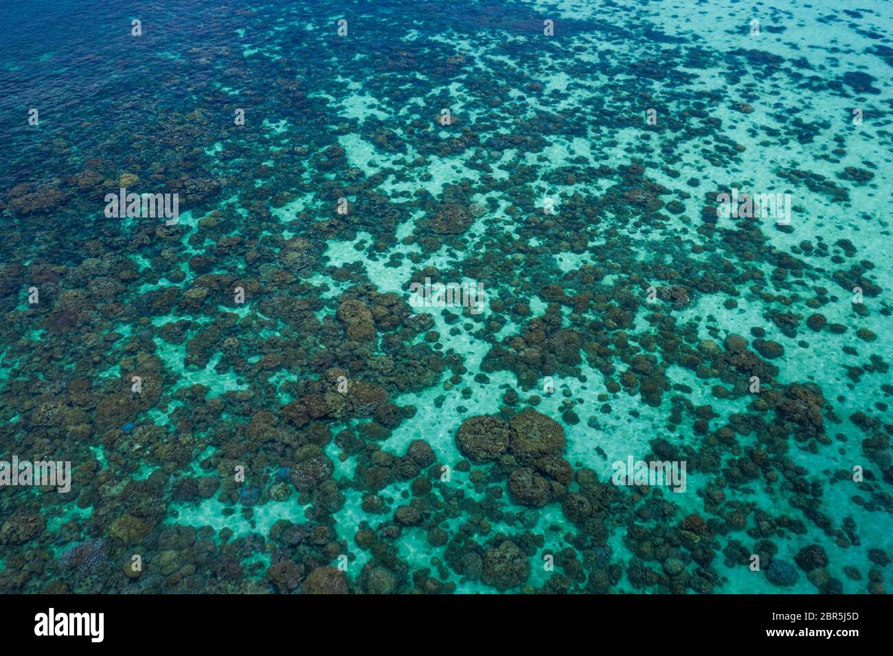 Aerial drone top view of the crystal clear lagoon sea water surface ...