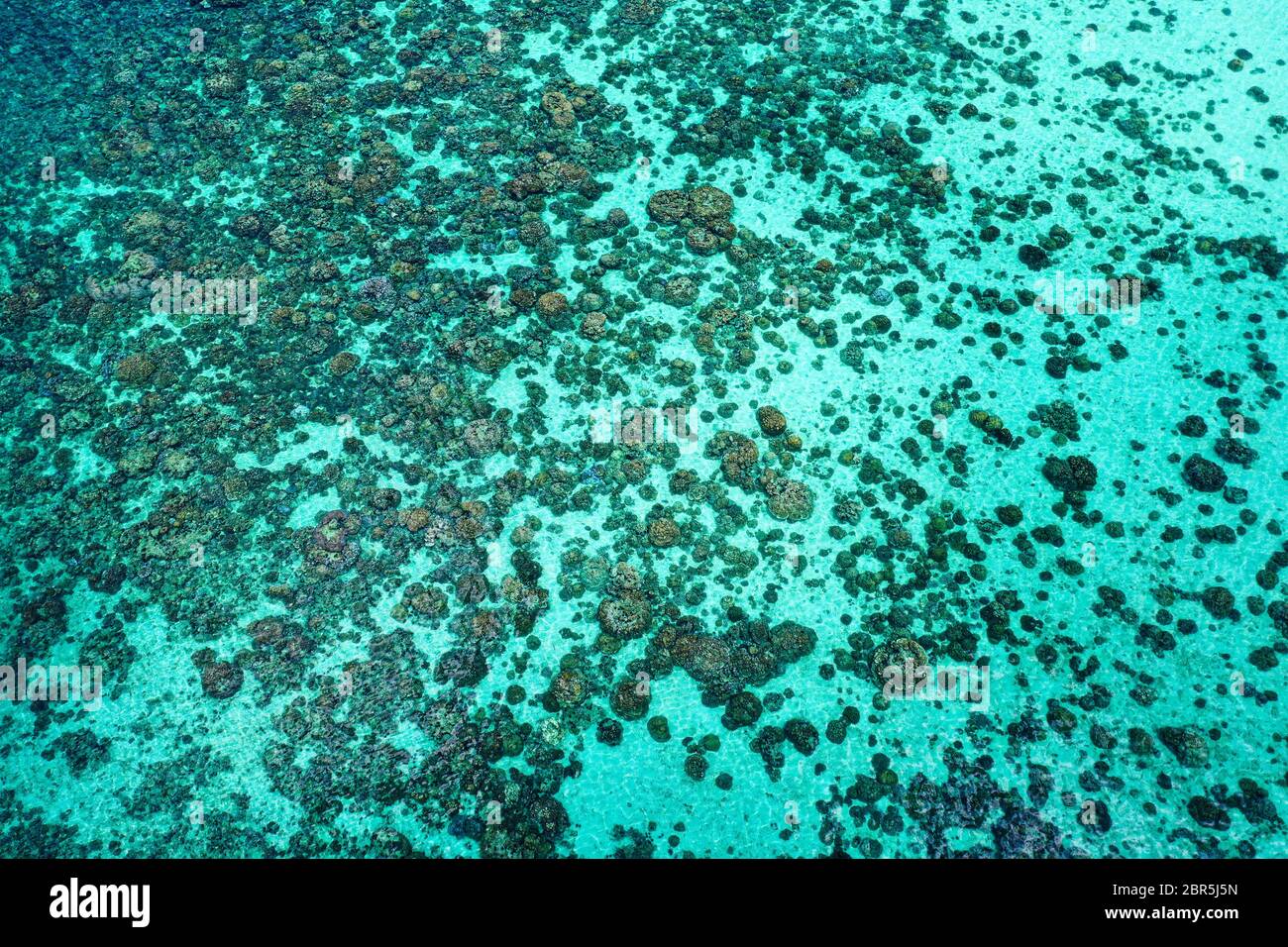 Aerial drone top view of the crystal clear lagoon sea water surface ...